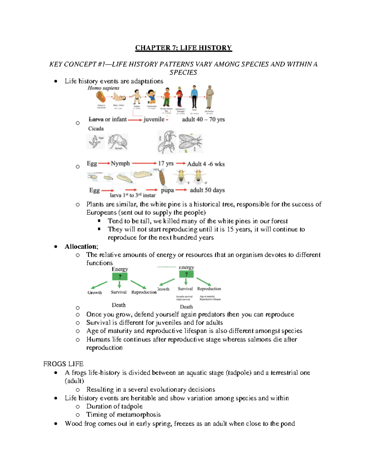 Chapter 7; Life History - CHAPTER 7; LIFE HISTORY KEY CONCEPT #1—LIFE ...