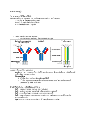 Immunology Worksheet 2 - BIOL 5500 Spring 2023 Unit 1 - Inflammation ...