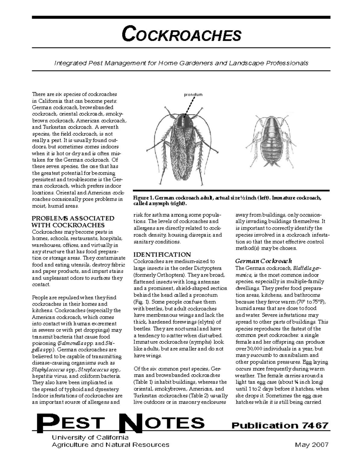 Ipm cockroaches - P EST N OTES Publication 7467 University of ...