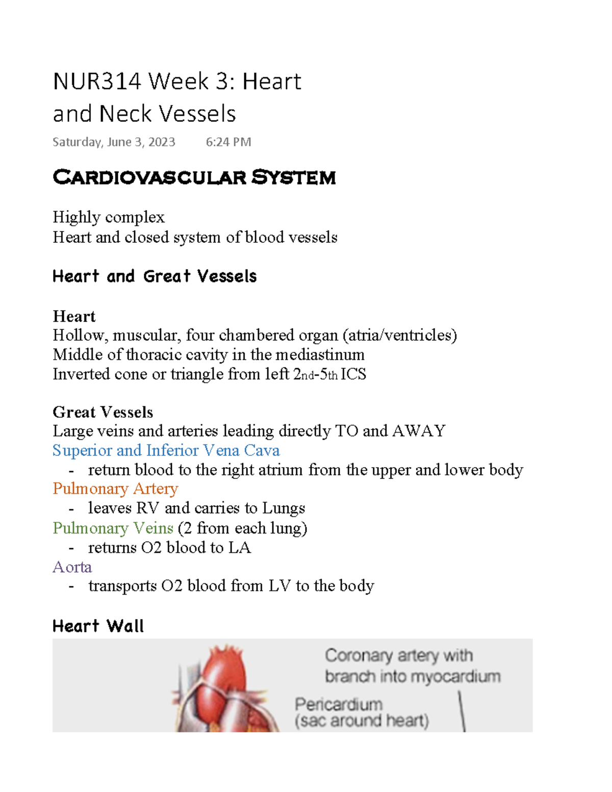NUR314 Week 3 Heart and Neck Vessels - Cardiovascular System Highly ...