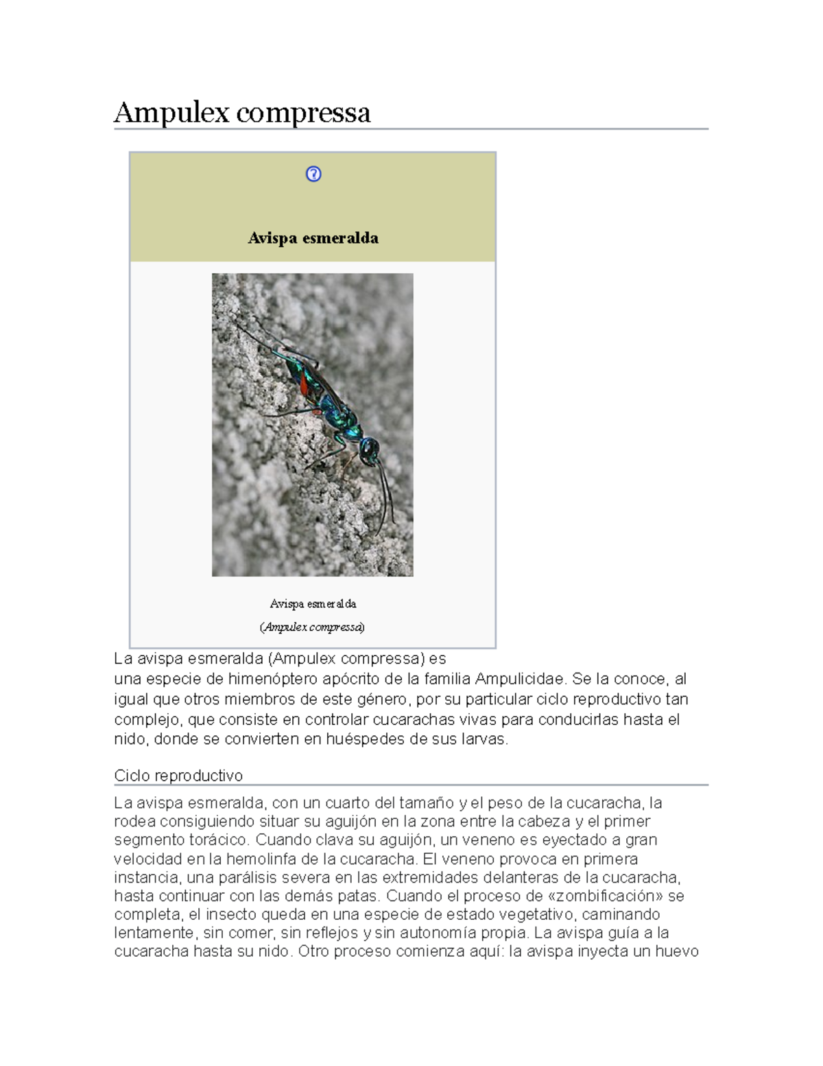 Ampulex compressa - un resumen que te ayuda a comprender mas el mundo ...