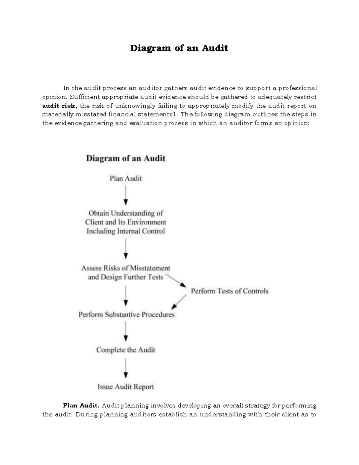 Module 3 Diagram of an Audit 1 - Diagram of an Audit In the audit ...
