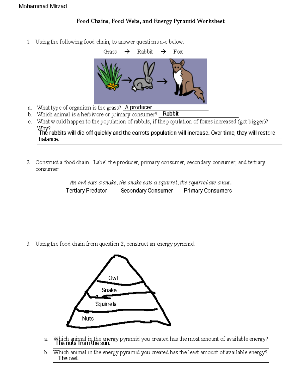 7th-Science- Food Chain - Food Chains, Food Webs, and Energy Pyramid ...