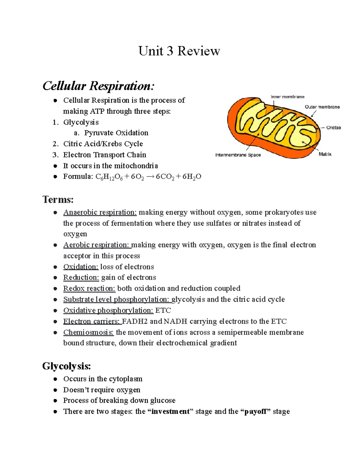 Cellular Energetics - Unit 3 Review Cellular Respiration: Cellular ...