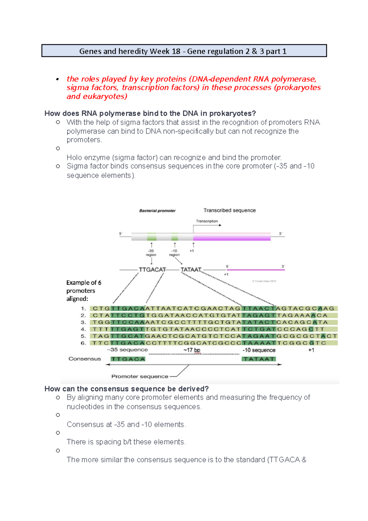 Genes and heredity Week 18 part 1 - Genes and heredity Week 18 - Gene ...