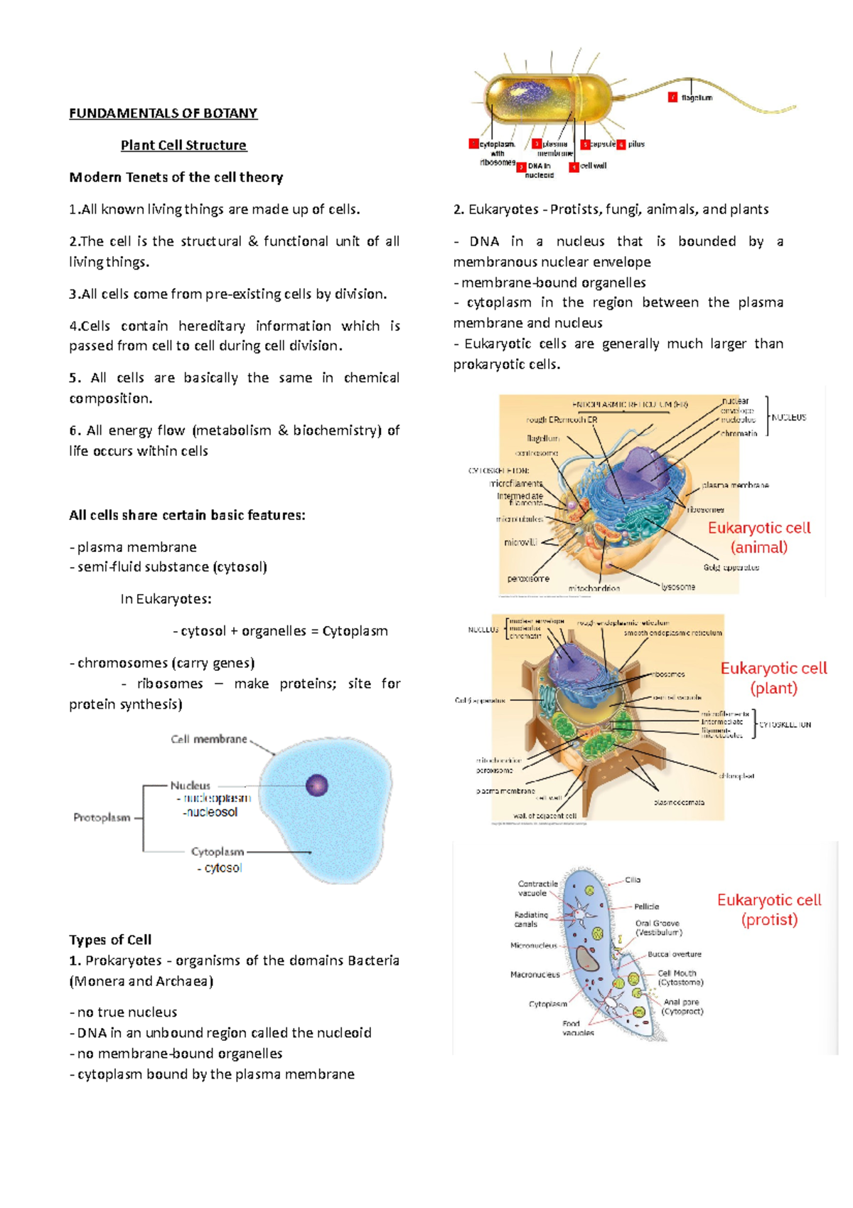 Botany LEC - 3 - FUNDAMENTALS OF BOTANY Plant Cell Structure Modern Tenets of the cell theory 1 ...