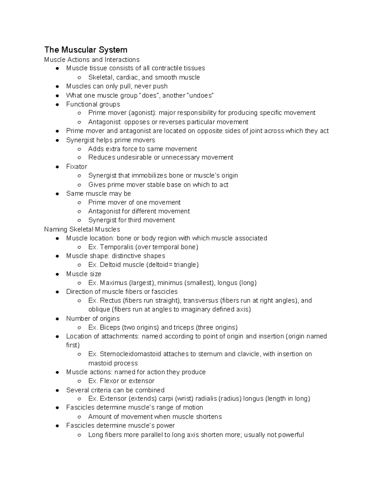 Anatomy Notes Day 19 - Lisa Nelson - The Muscular System Muscle Actions ...