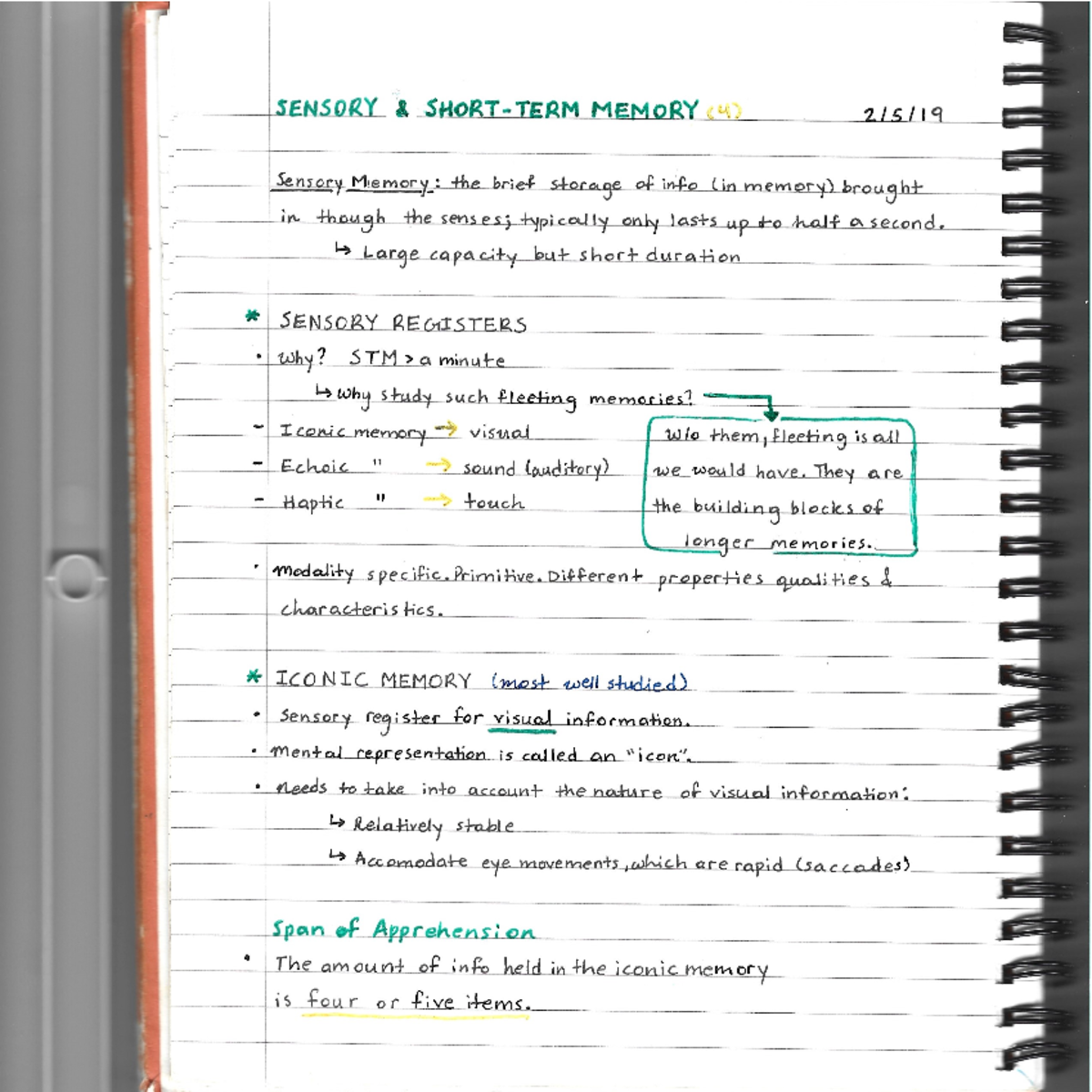 Sensory and Short-Term Memory p.1 - PSY 327 - Studocu