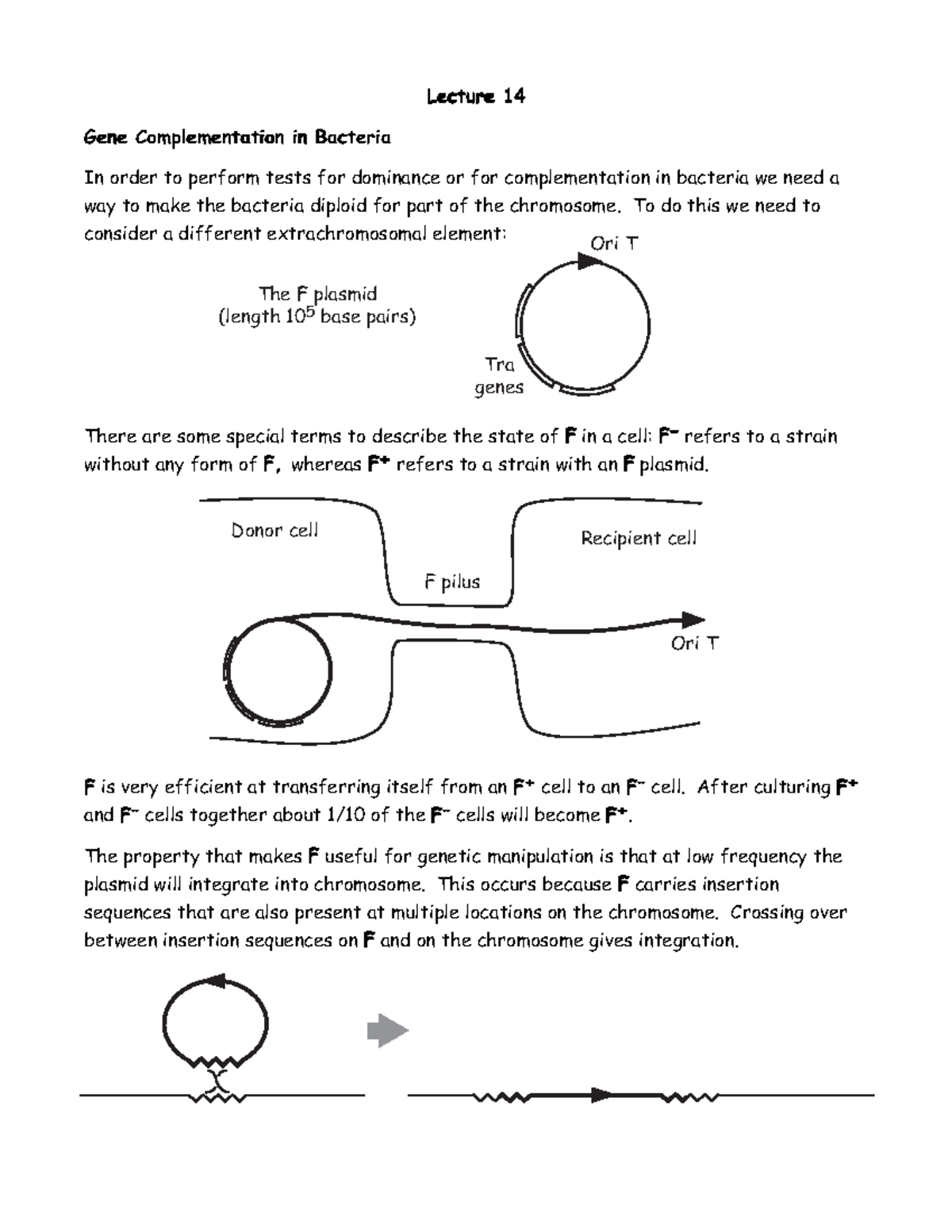 Complementation in Bacteria Plasmids - Lecture 14Lecture 14Lecture ...