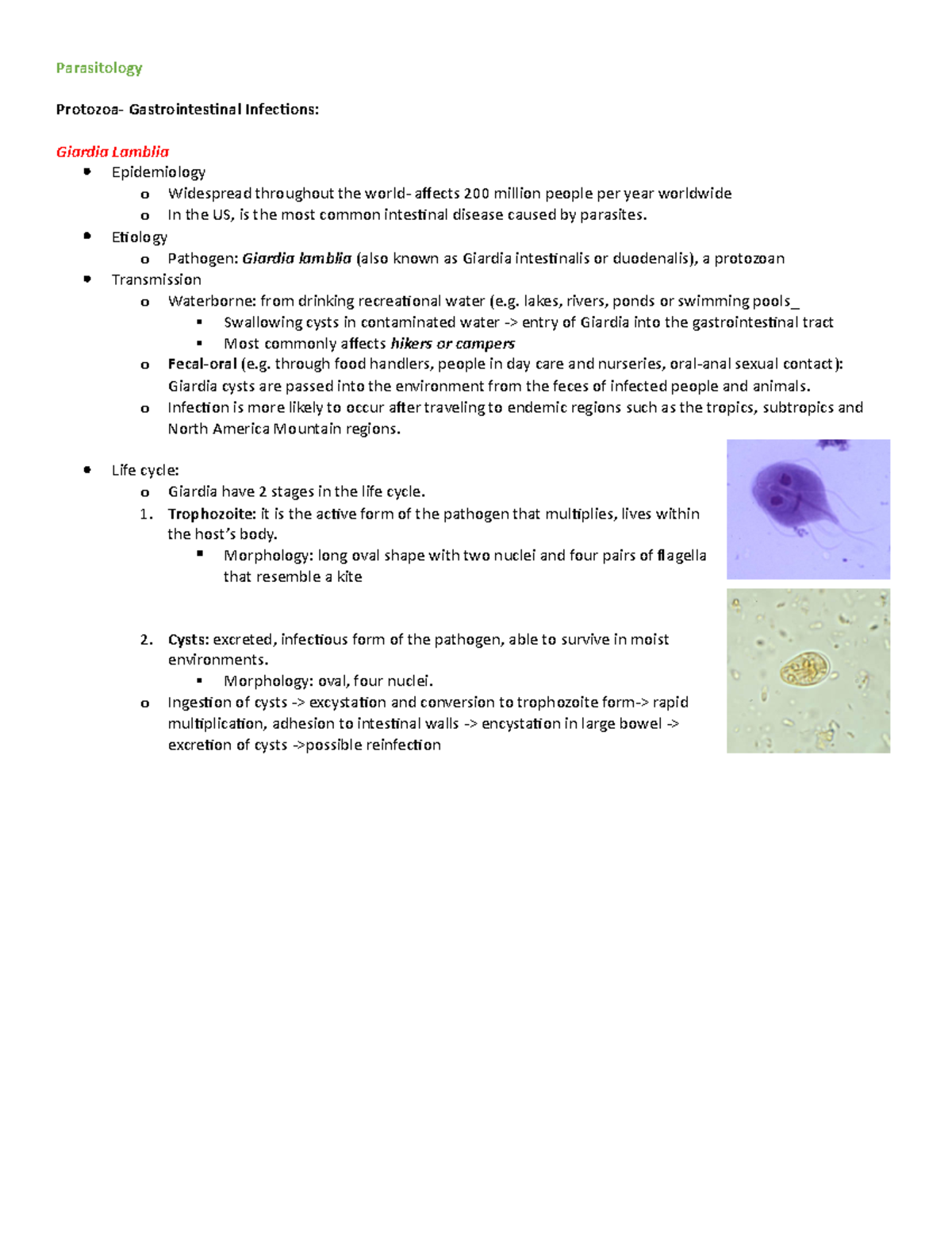 Parasitology - Review of Most important bugs - Parasitology Protozoa ...