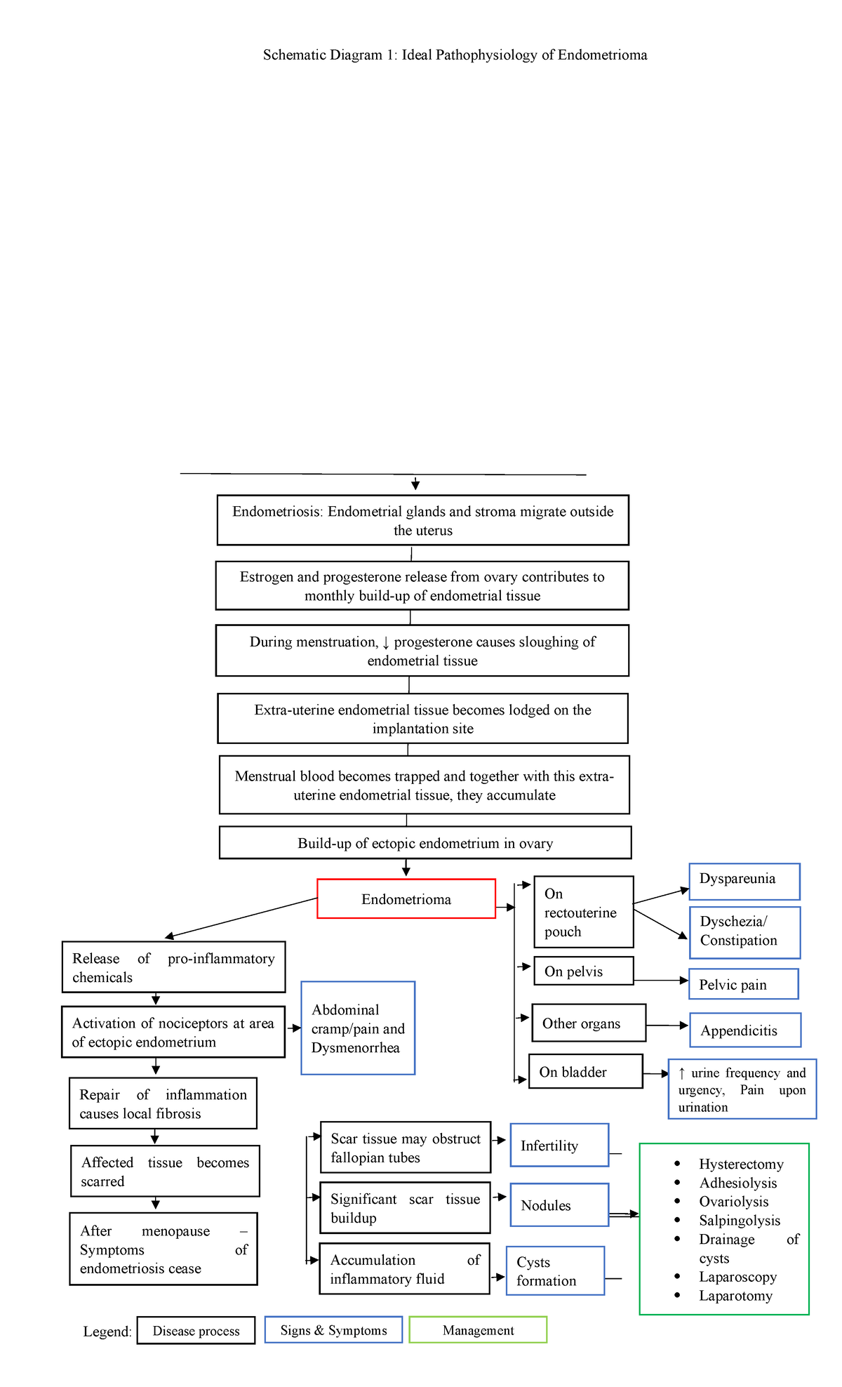Patho-endometrioma - Abdominal cramp/pain and Dysmenorrhea Scar tissue ...