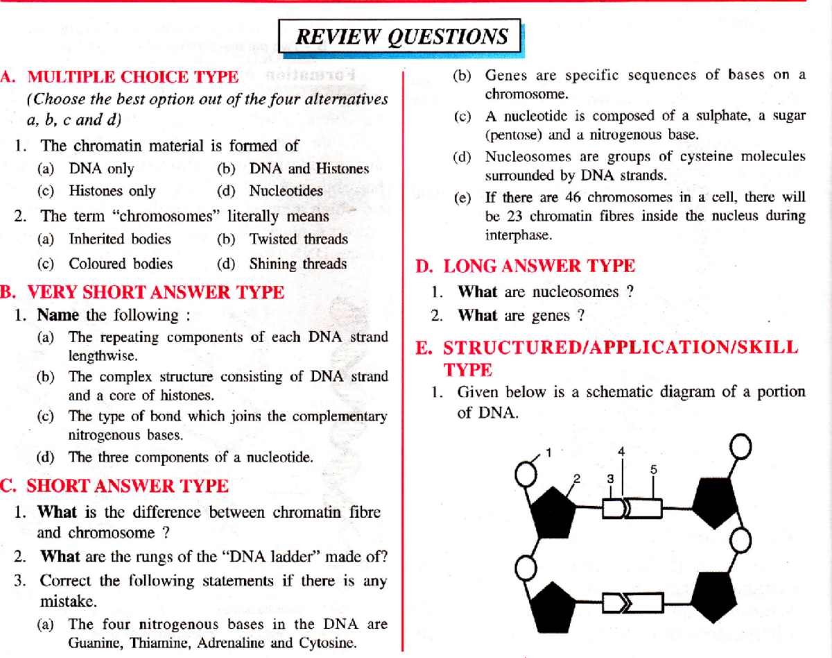 Dna worksheet 2 - Computer Science - Studocu