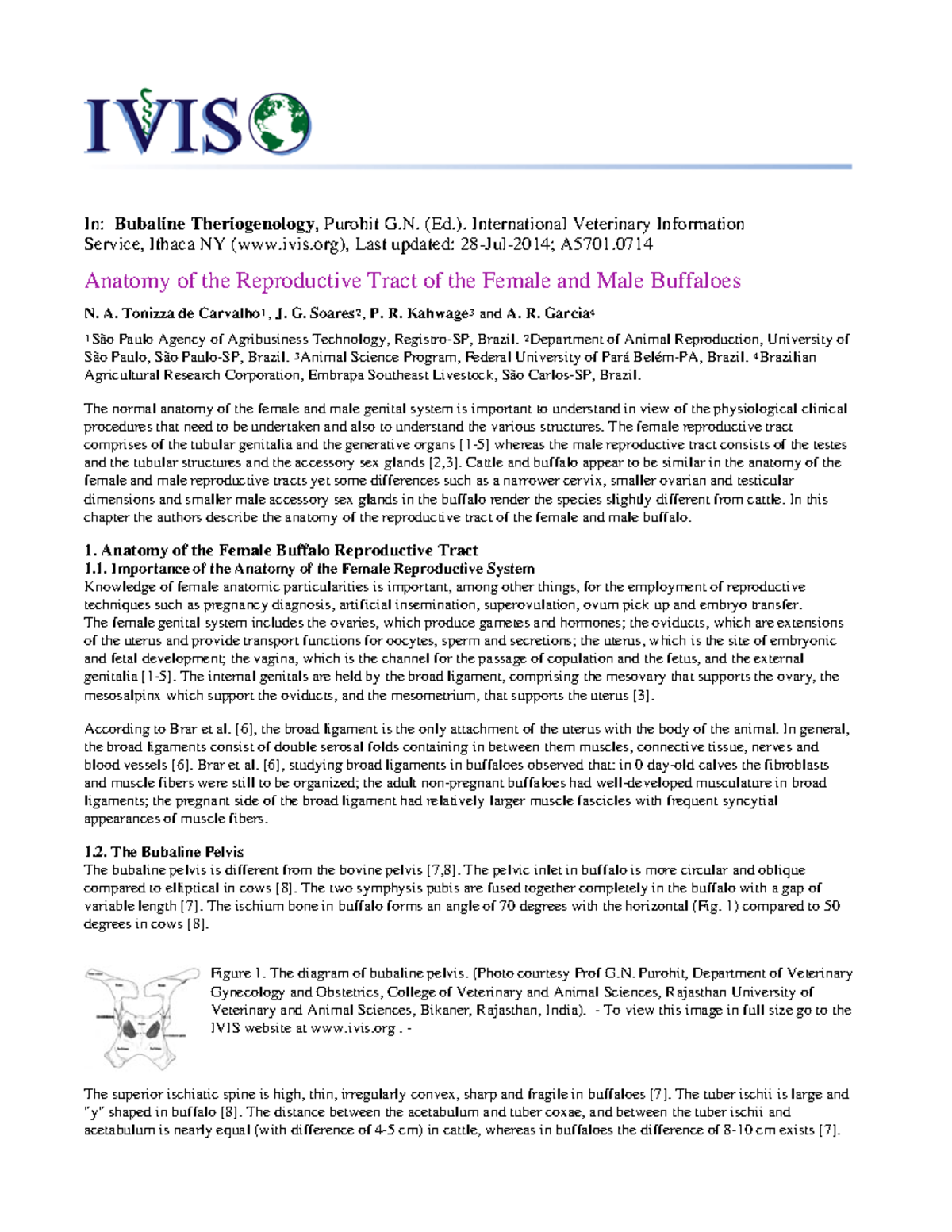 Anatomia de bufalos - articulo - In: Bubaline Theriogenology, Purohit G ...
