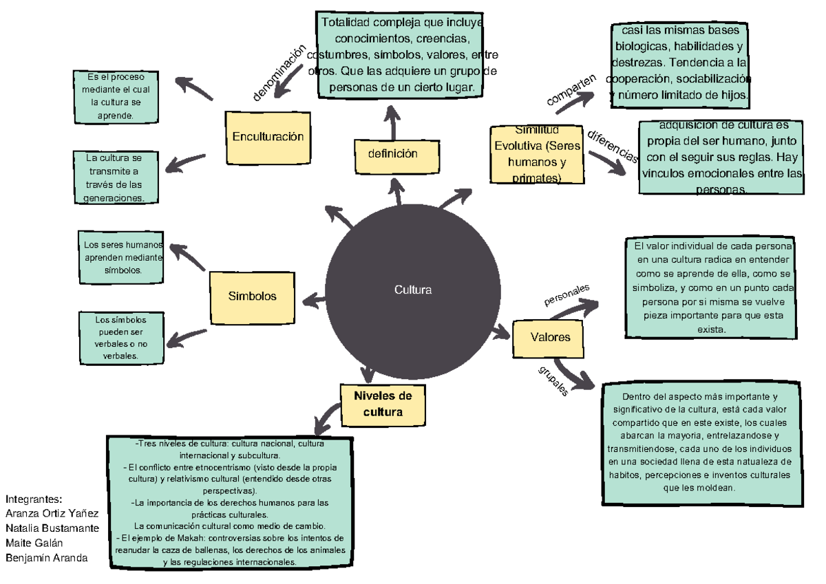 Concept Map Graphic Organizer - Cultura Similitud Evolutiva (Seres ...
