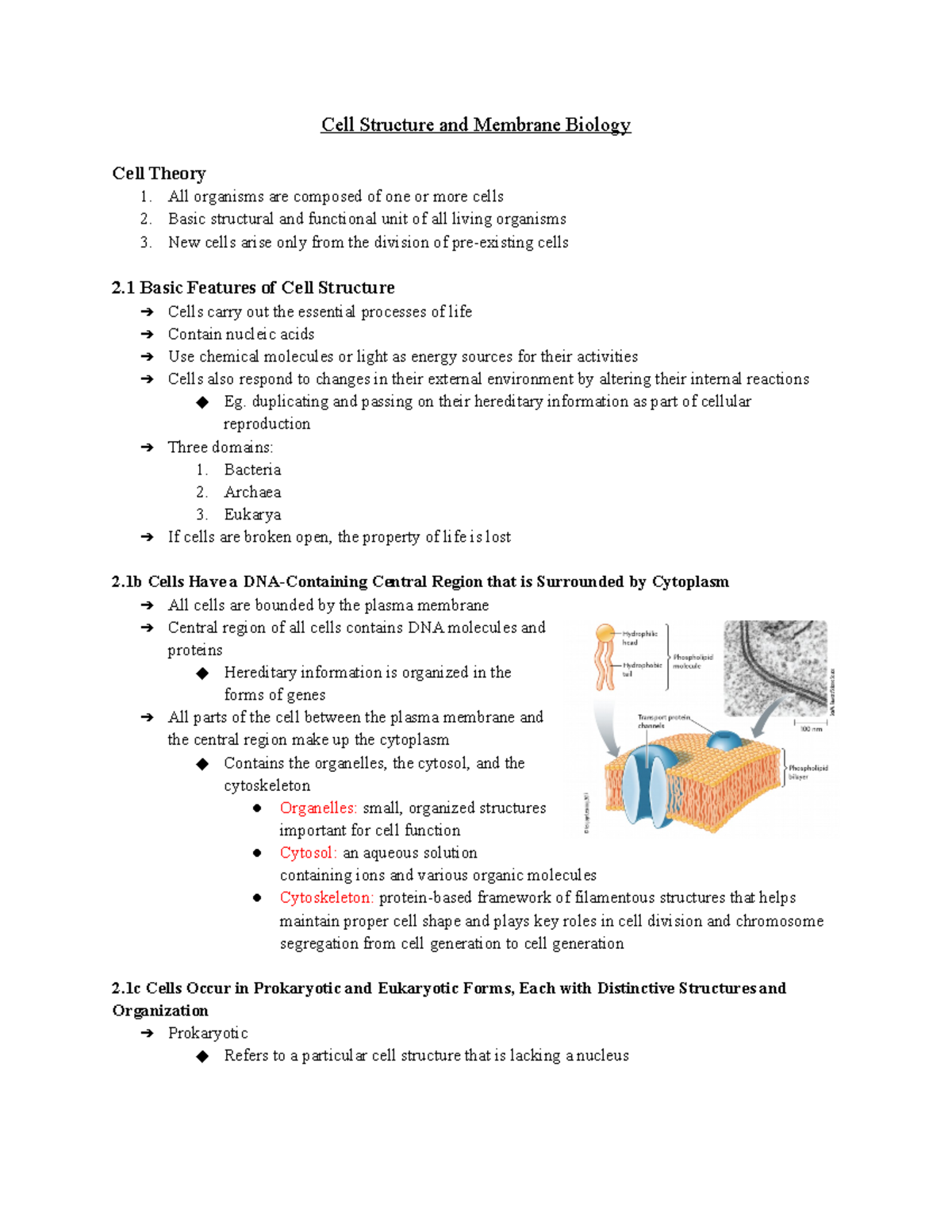 Topic #1 Cell Structure and Membrane Biology - Cell Structure and Membrane Biology Cell Theory ...