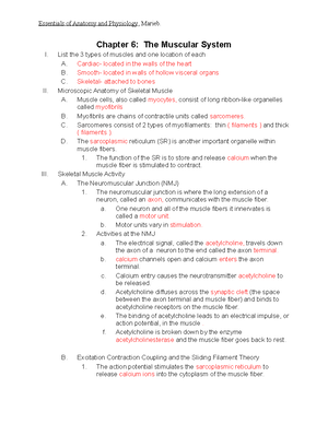 The Nervous System - questions with answers and pictures - n Chapter 7 ...