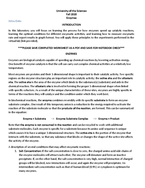 Fermentation and Cellular Respiration Worksheet copy - University of ...