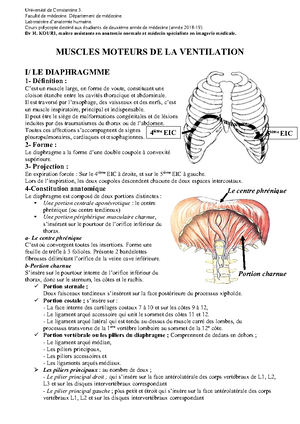 Anatomie 2an-poumons plevres - Poumons et Plèvres Dr. A. ABDALLAH ...