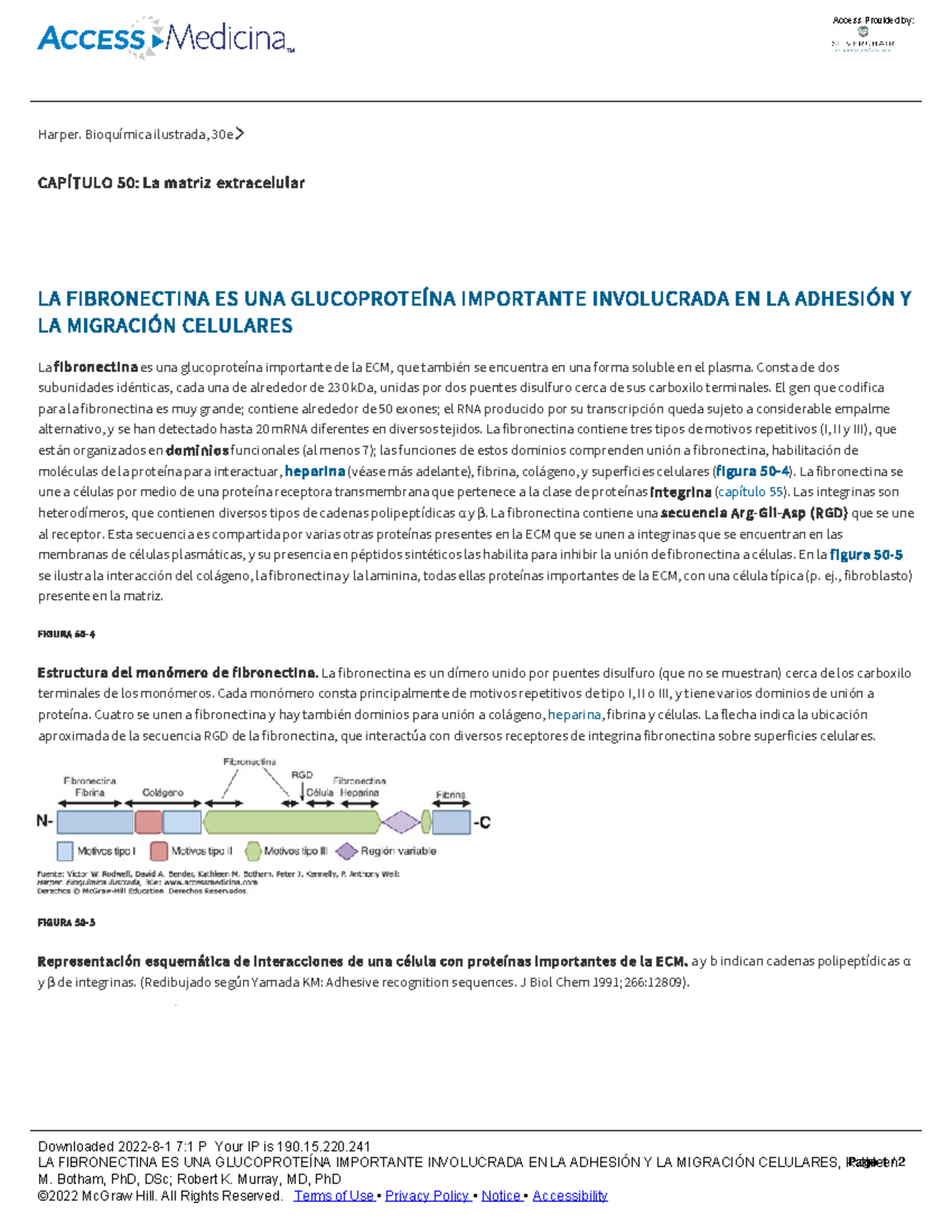 LA Fibronectina ES UNA Glucoproteína Importante Involucrada EN LA ...