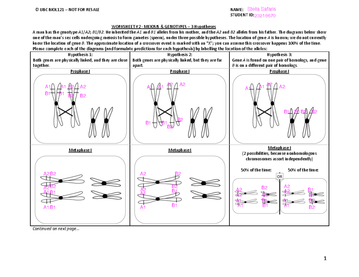 Genetics worksheet 2 - © UBC BIOL121 – NOT FOR RESALE NAME: STUDENT ID ...