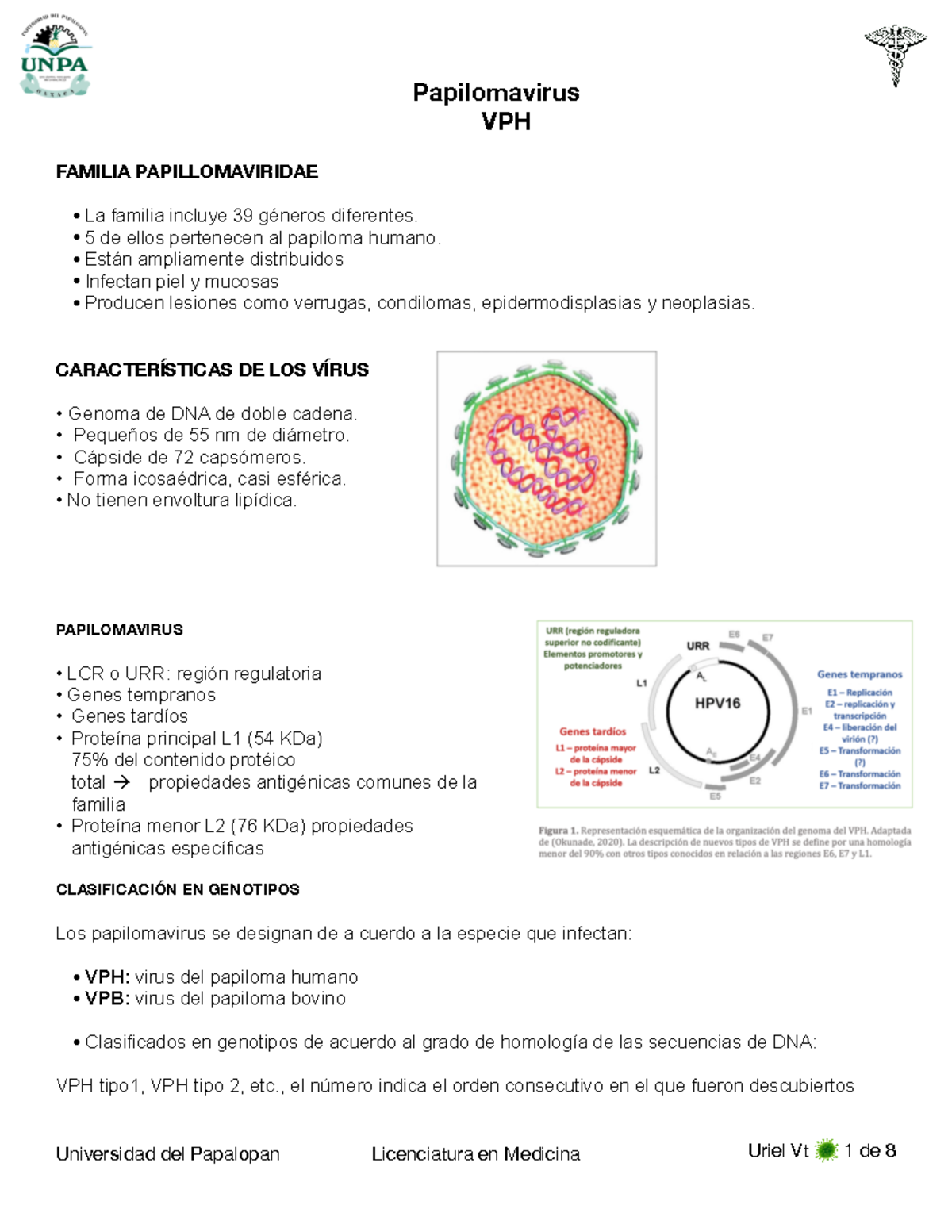 VpH Vilogía Medica - Papilomavirus VPH FAMILIA PAPILLOMAVIRIDAE La ...