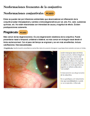 Síndrome de ovario poliquístico - Síndrome de ovario poliquístico ...