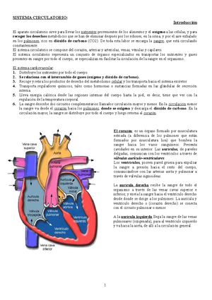 3. Unidad Gastrulacion - Definición Línea primitiva Nodo y fosita ...