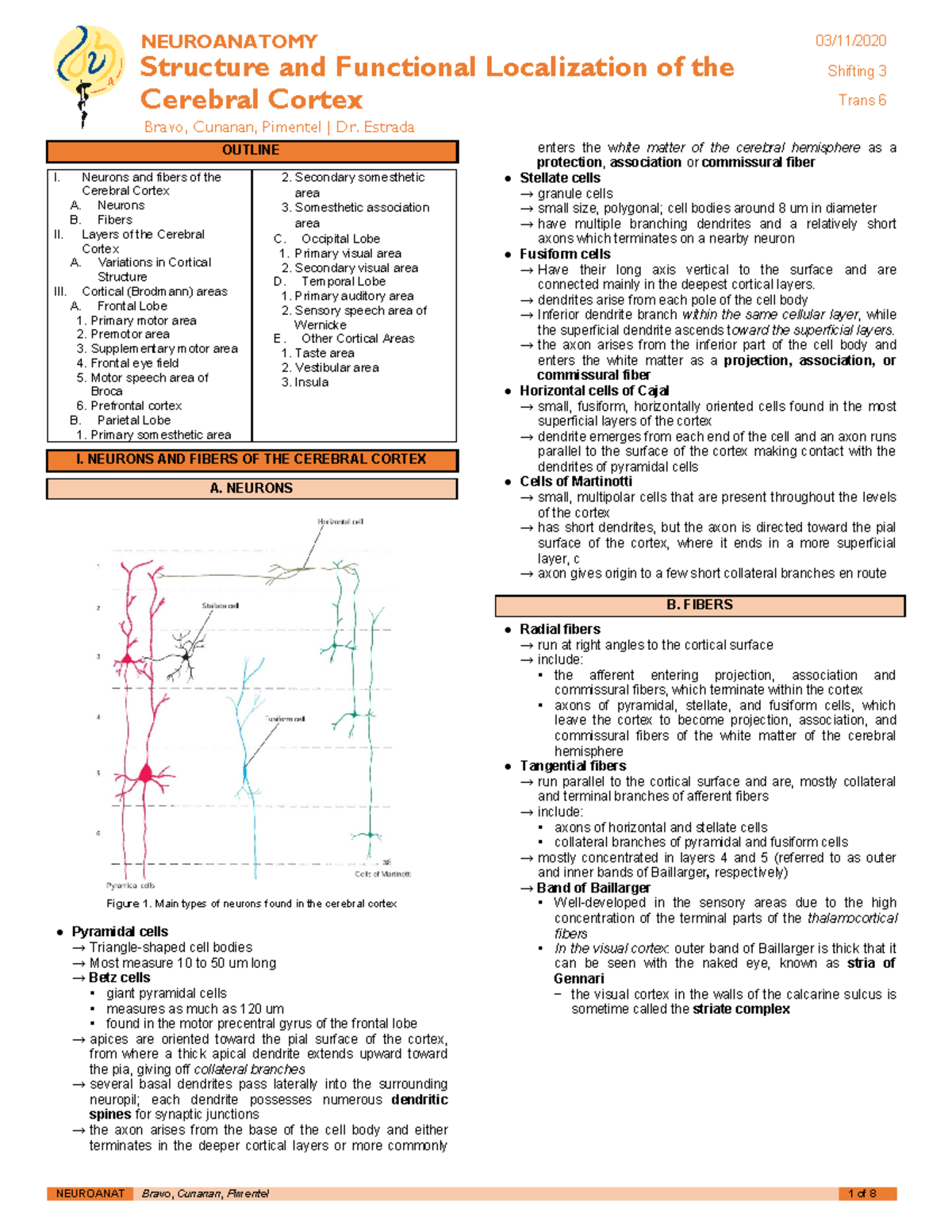 NEUR-B-S03-T06-Structure and Functional Localization of the Cerebral Cortex - NEUROANAT Bravo ...