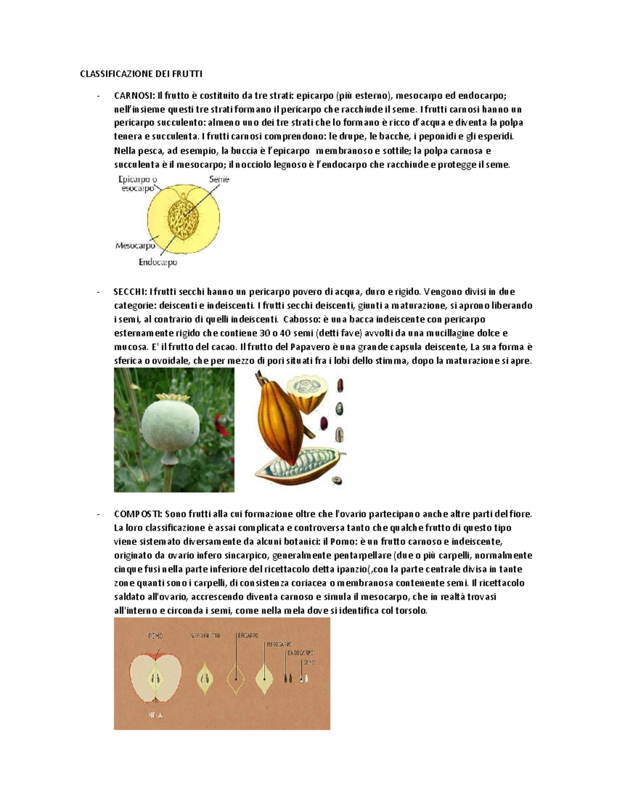 Classific. Frutti - .... - CLASSIFICAZIONE DEI FRUTTI CARNOSI: Il ...