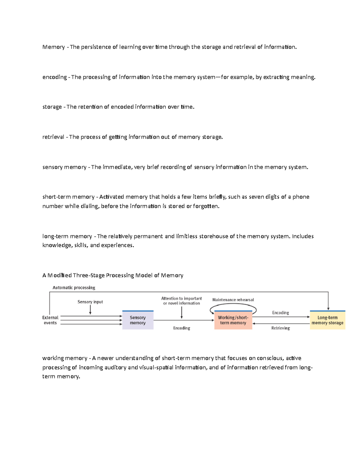 Chapter 3 Notes - Memory - The persistence of learning over time ...