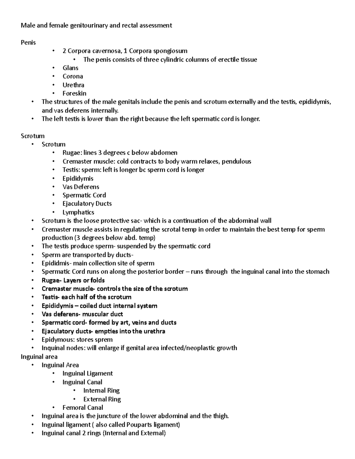 Male and female genitourinary and rectal assessment - The left testis ...