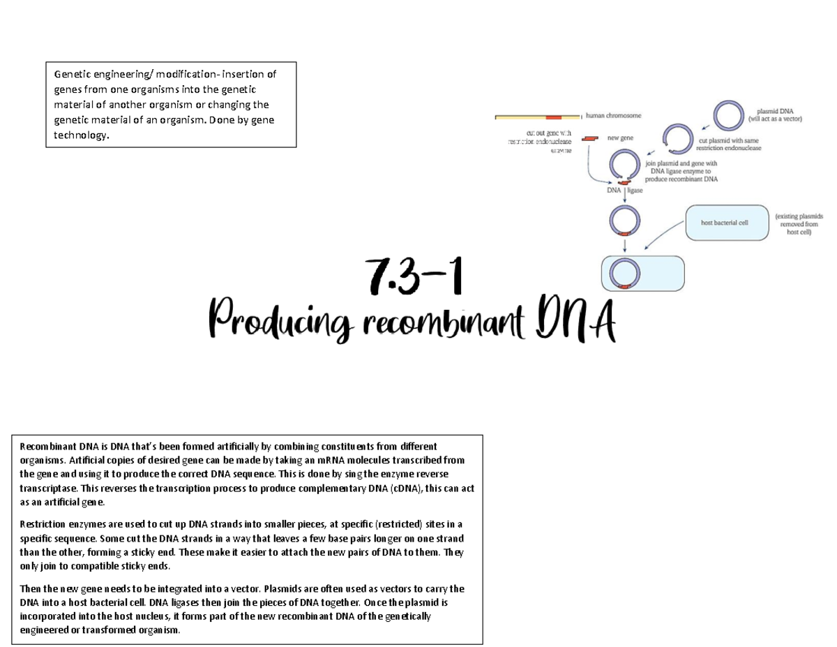 Recombinant DNA poster - Genetic engineering/ modification- insertion ...