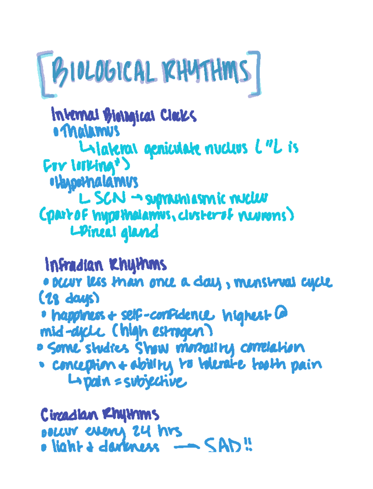 Biological Rhythms - BIOLOGICAL RHYTHMS Internal Biological Clocks 0 ...