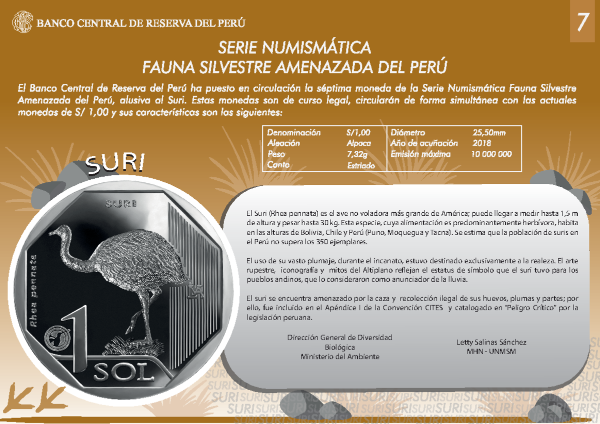 Suri-caracteristicas - SU RI SU RI Dirección General de Diversidad ...