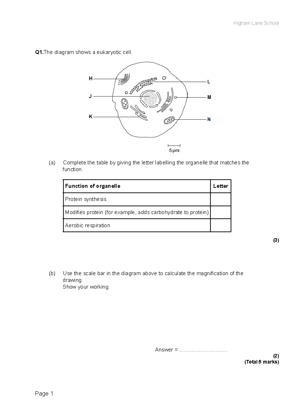 Cells 1 revision exam questions - Q1 diagram shows a eukaryotic cell ...