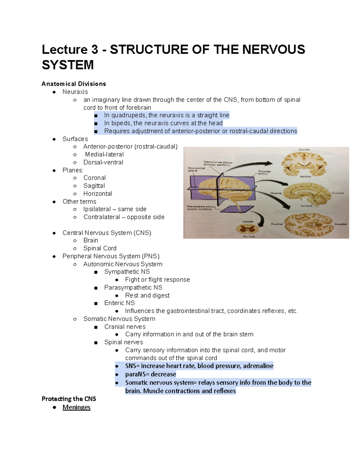 Quiz 3 - Behavioral Neuroscience Quiz Notes - Lecture 3 - STRUCTURE OF ...