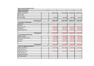 Formulacion y evaluacion de proyectos - Siglo 21 - Studocu