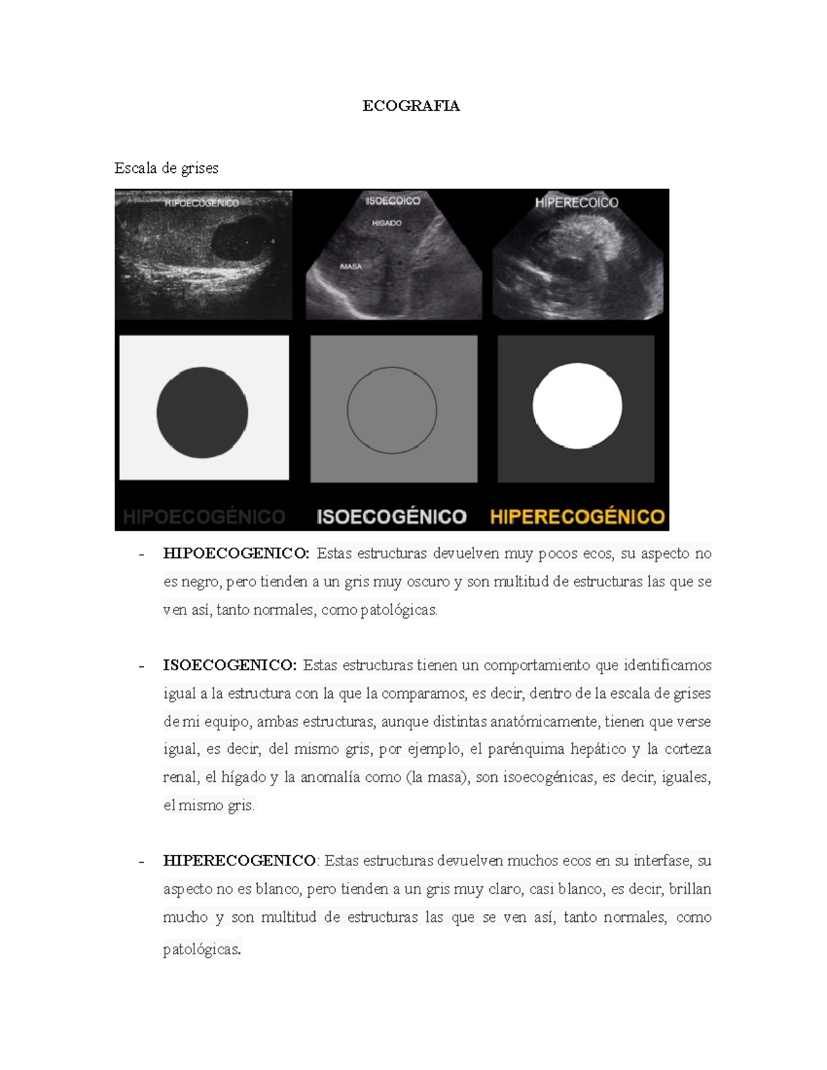Ecografia - Esta etapa conlleva a que el grupo haga una planeación de ...