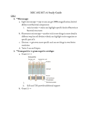 MIC Final SG - **MIC 102 Final Study Guide Omics (outside reading, CH19 ...