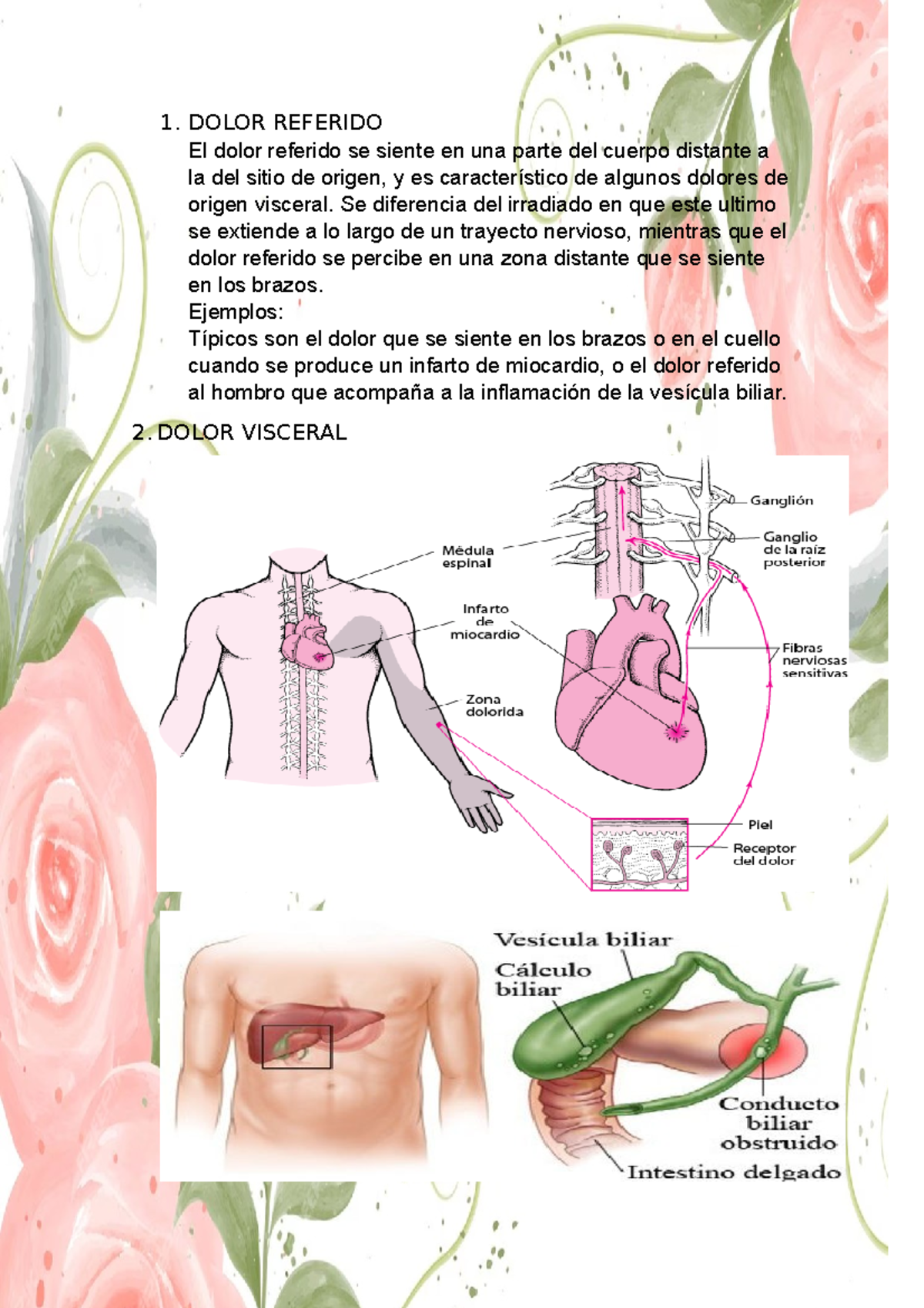Tarea fisiologia - ayuda - 1. DOLOR REFERIDO El dolor referido se ...