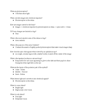 Eye Practice Questions - What is the organ of sight? Eye What does the ...