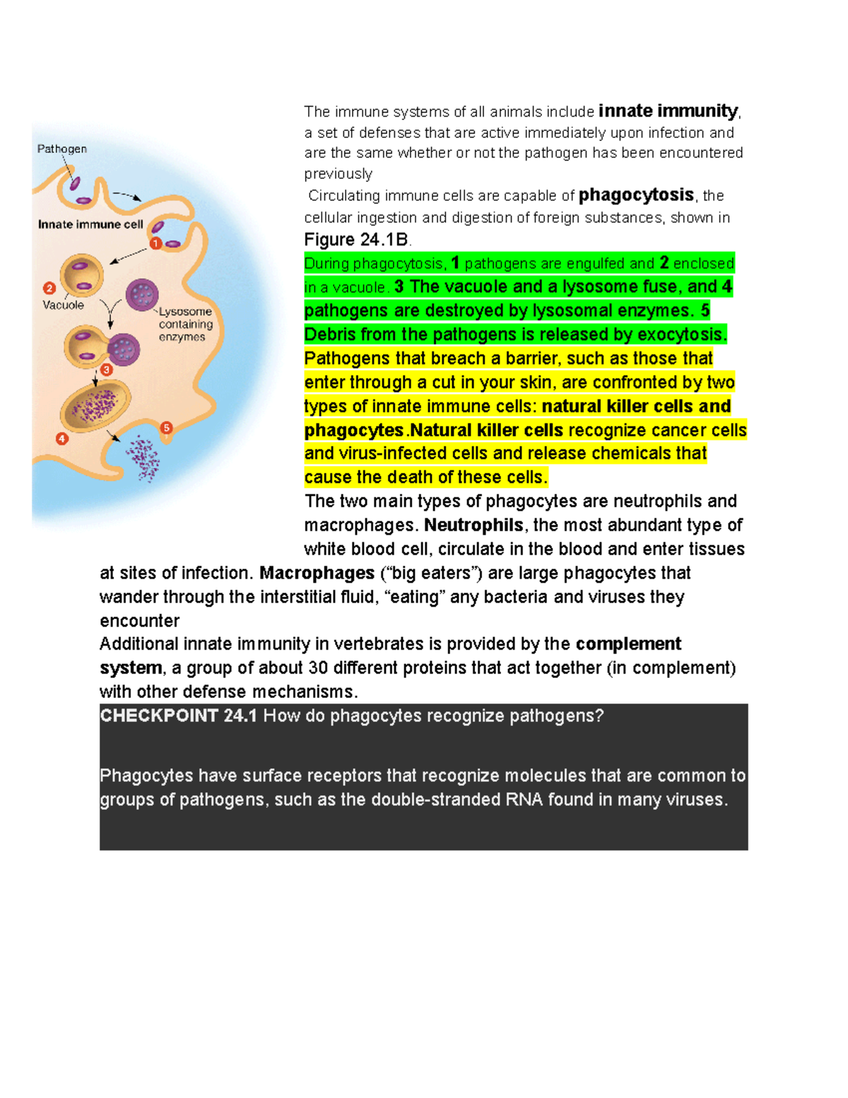 BIO 1050 Chapter 24 - The immune systems of all animals include innate ...