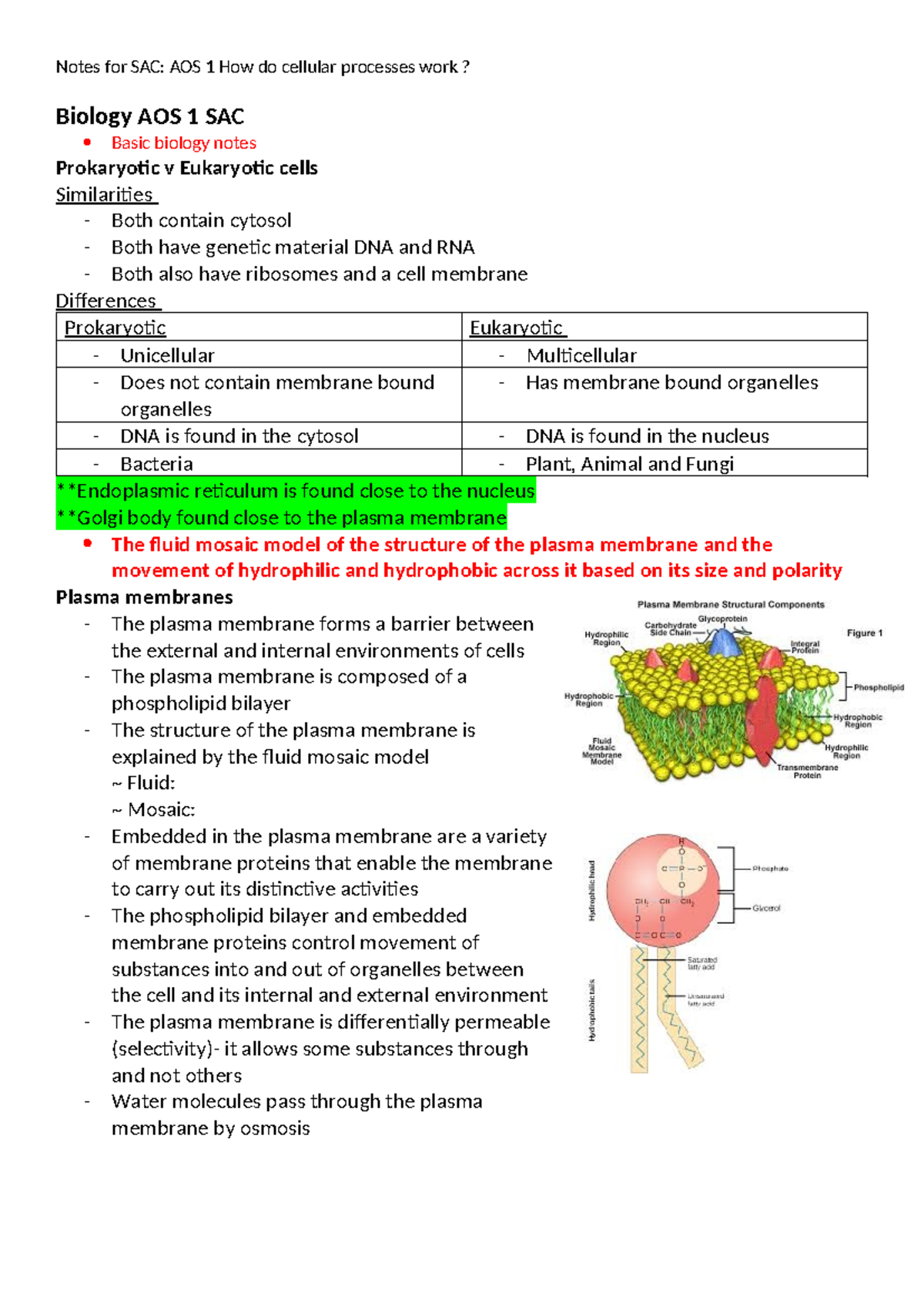 Biology AOS 1 SAC notes - Biology AOS 1 SAC Basic biology notes ...