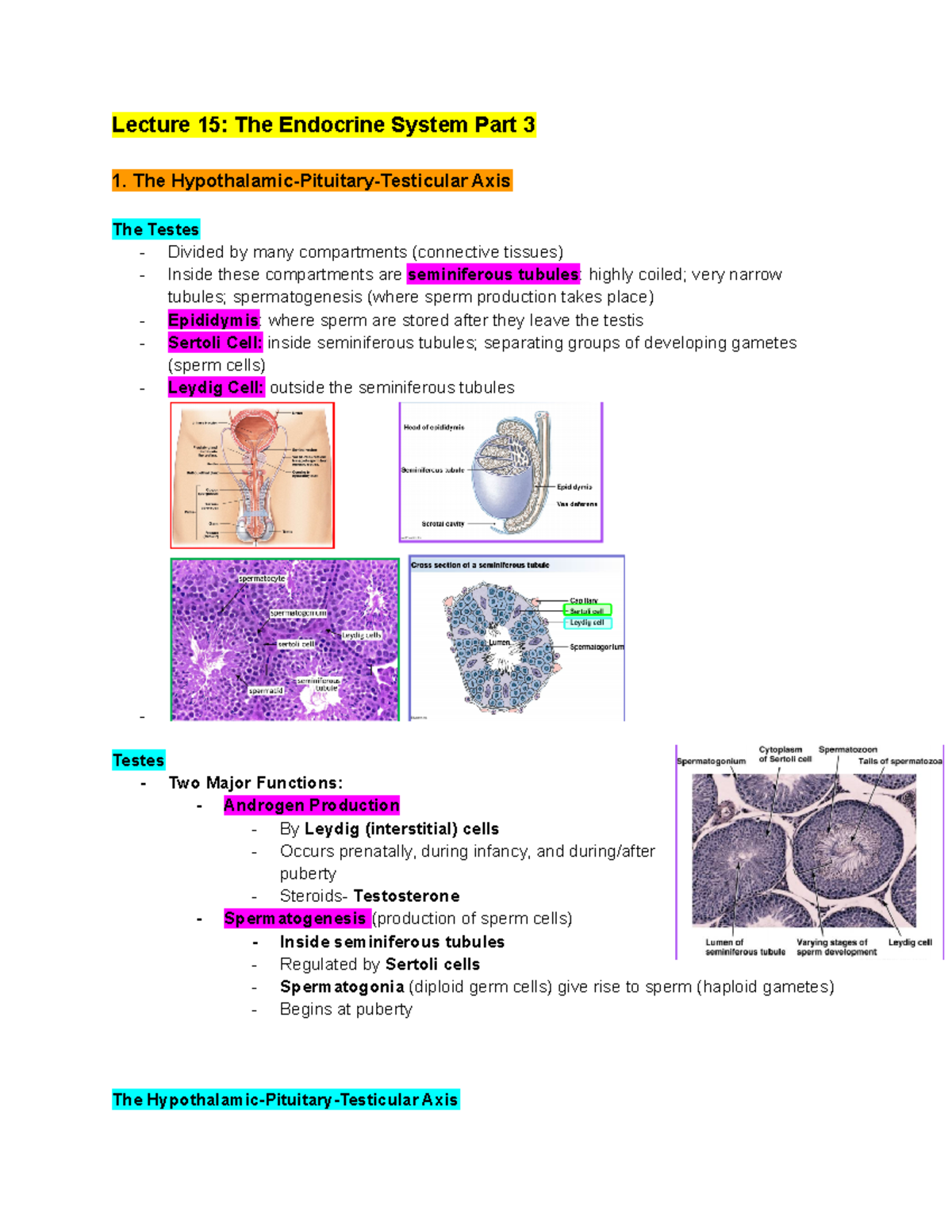 BIOL171A Lec. 15-16 - Lecture notes 15-16 - Lecture 15: The Endocrine ...