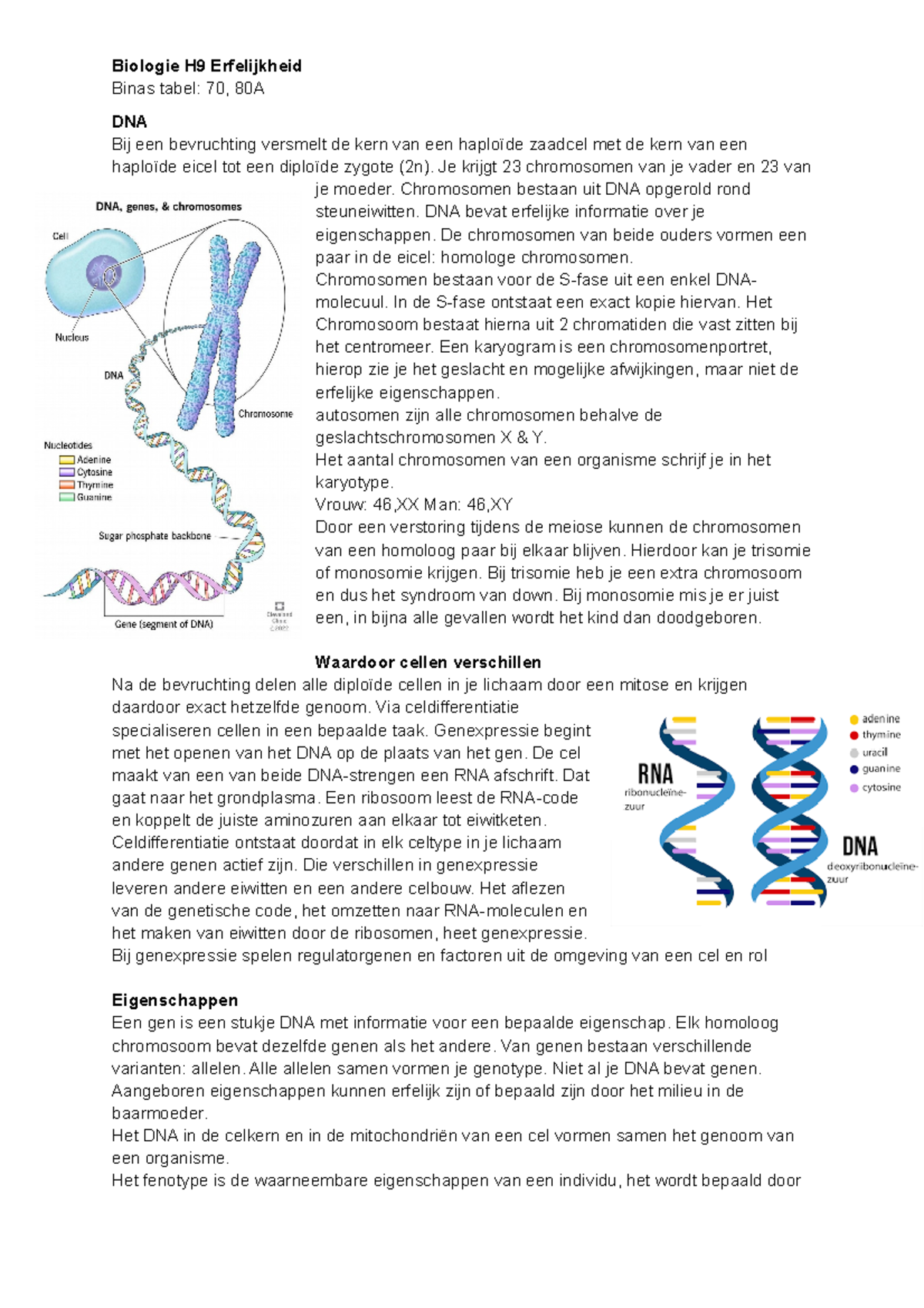 Biologie Hoofdstuk 9 - Binas tabel: 70, 80A DNA Bij een bevruchting ...