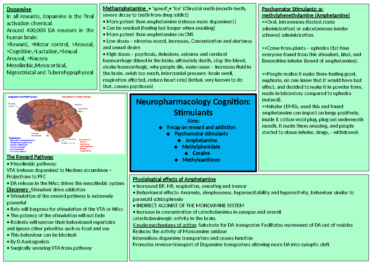 Stimulant - revision lecture notes - Methamphetamine • ‘speed’ • ‘Ice ...