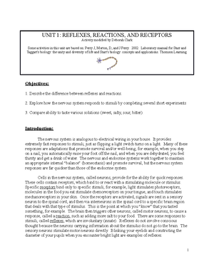 Unit 2 fetalpig - lab notes and instructions on fetal pig dissection ...