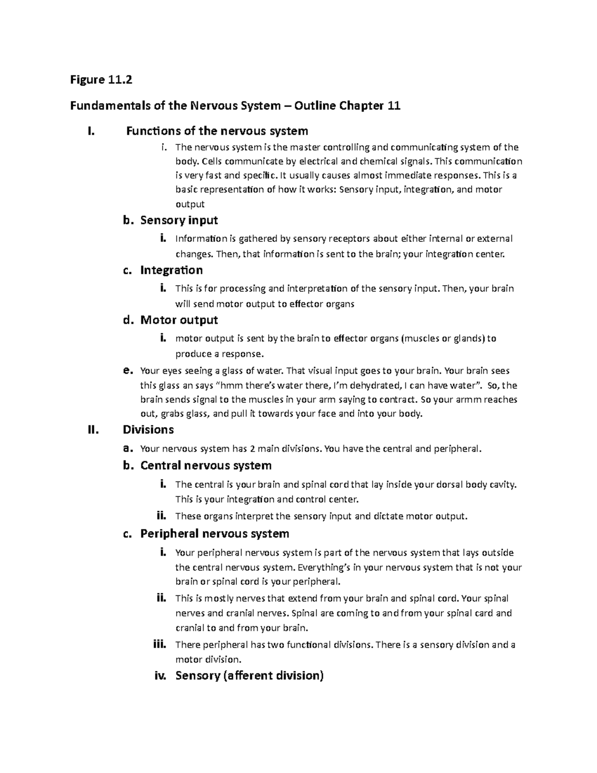Fundamentals of the Nervous System Outline - Figure 11. Fundamentals of ...