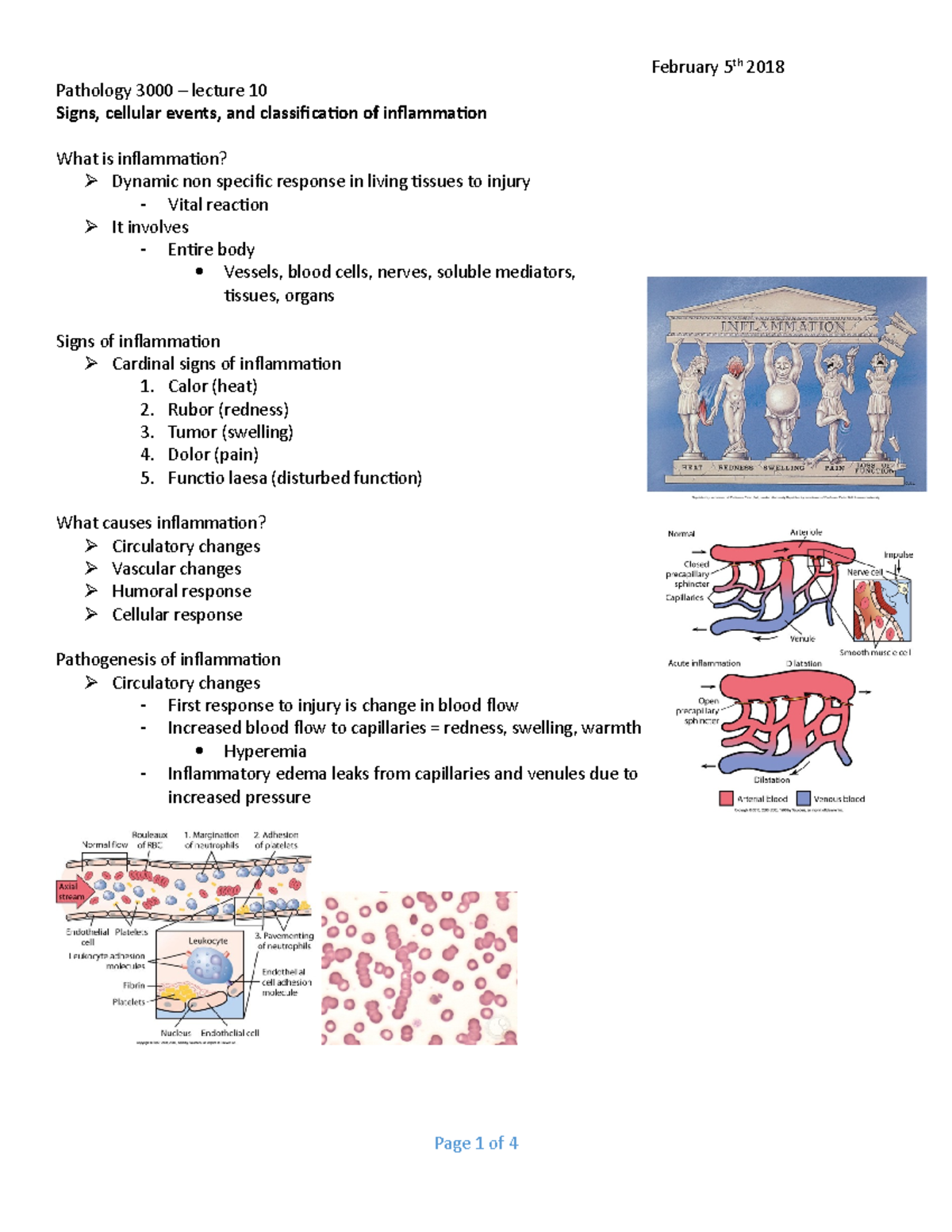 Pathology 3000 – lecture 10 - Pathology 3000 – lecture 10 Signs ...