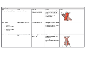 Anatomie Thema 2 Fysiotherapie - ANATOMIE THEMA 2 Onderste Extremiteit ...